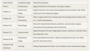 Cow Gestation Calculator : Unveiling the Secrets of Cattle Gestation
