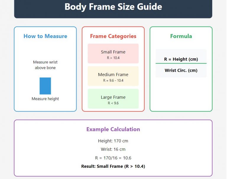 Body Frame Size Calculator - Measure Body Frame From Height / Wrist Circumference