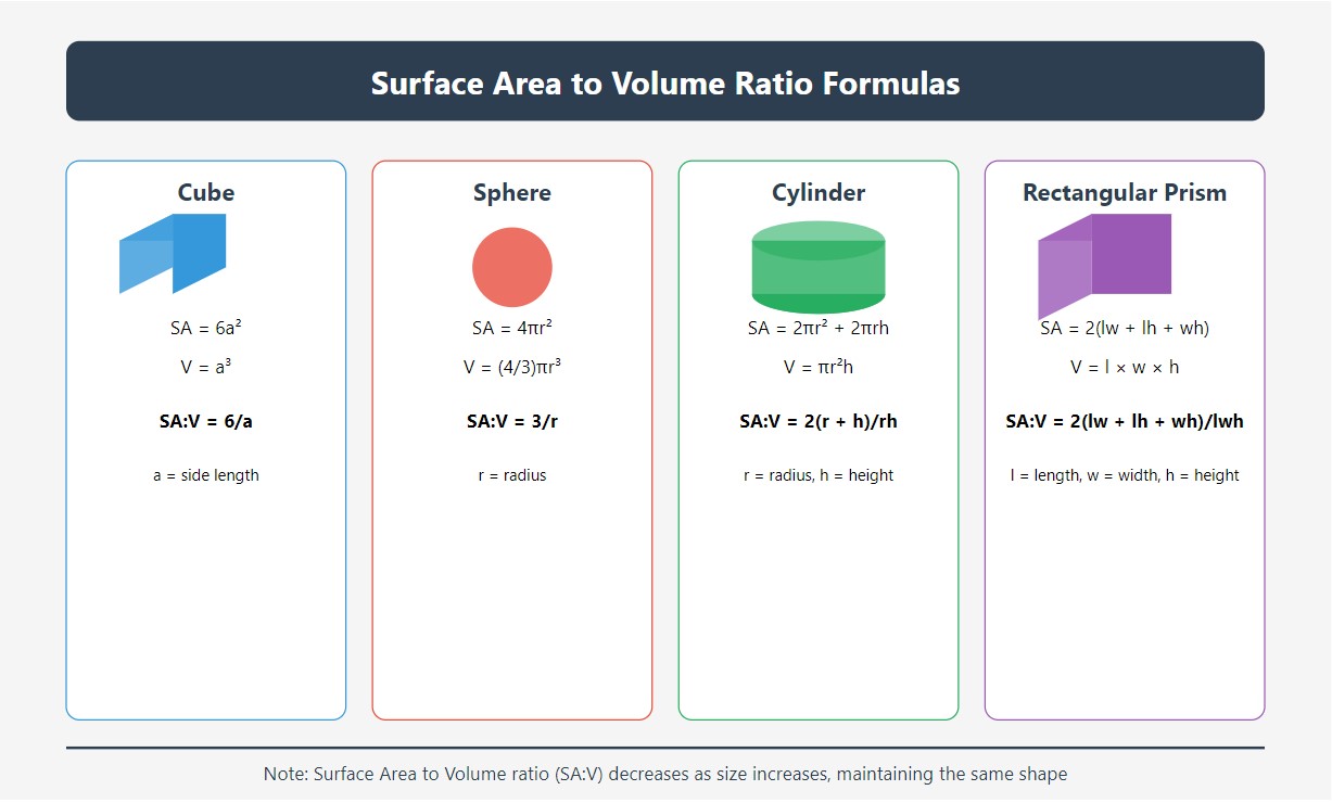 Surface Area to Volume Ratio Calculator - Calculate Sa/V Ratio